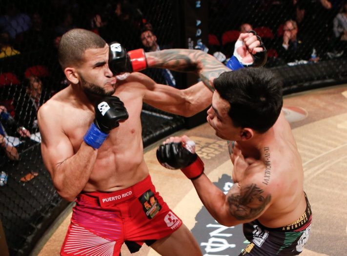 Italian Middleweight Alen Amedovski Signs with UFC