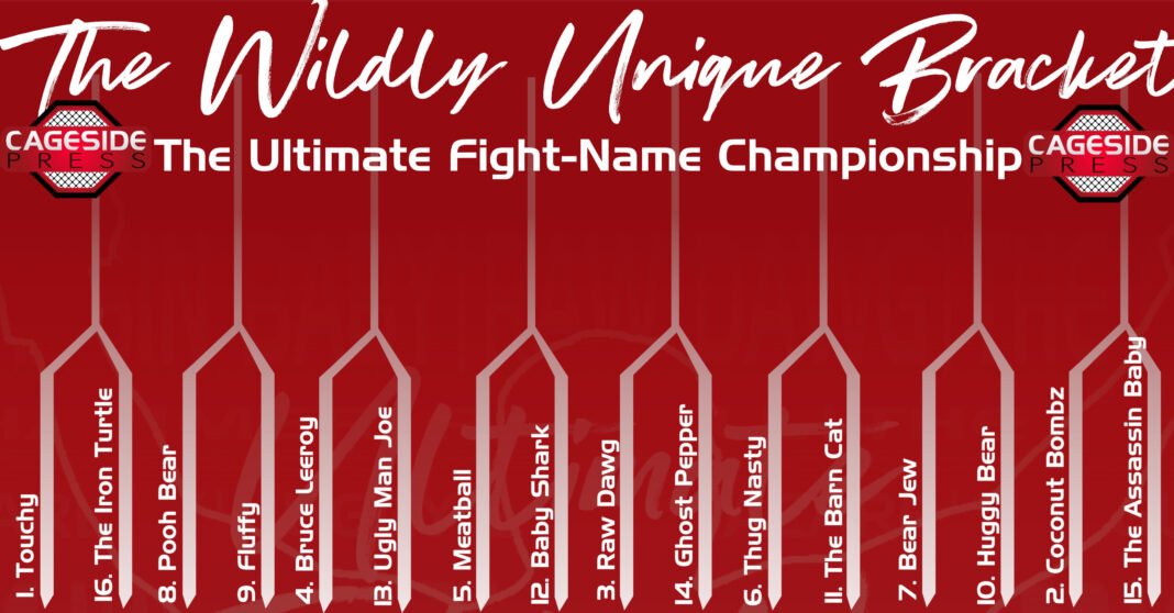 The Ultimate Fight-Name Championship - Wildly Unique Bracket