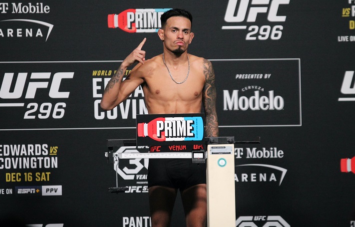 UFC 296: Brandon Royval Credits Alexandre Pantoja for Growth