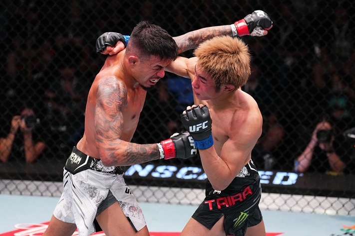 Flyweight's Got Fight: The Remarkable Recovery of the UFC's Smallest ...